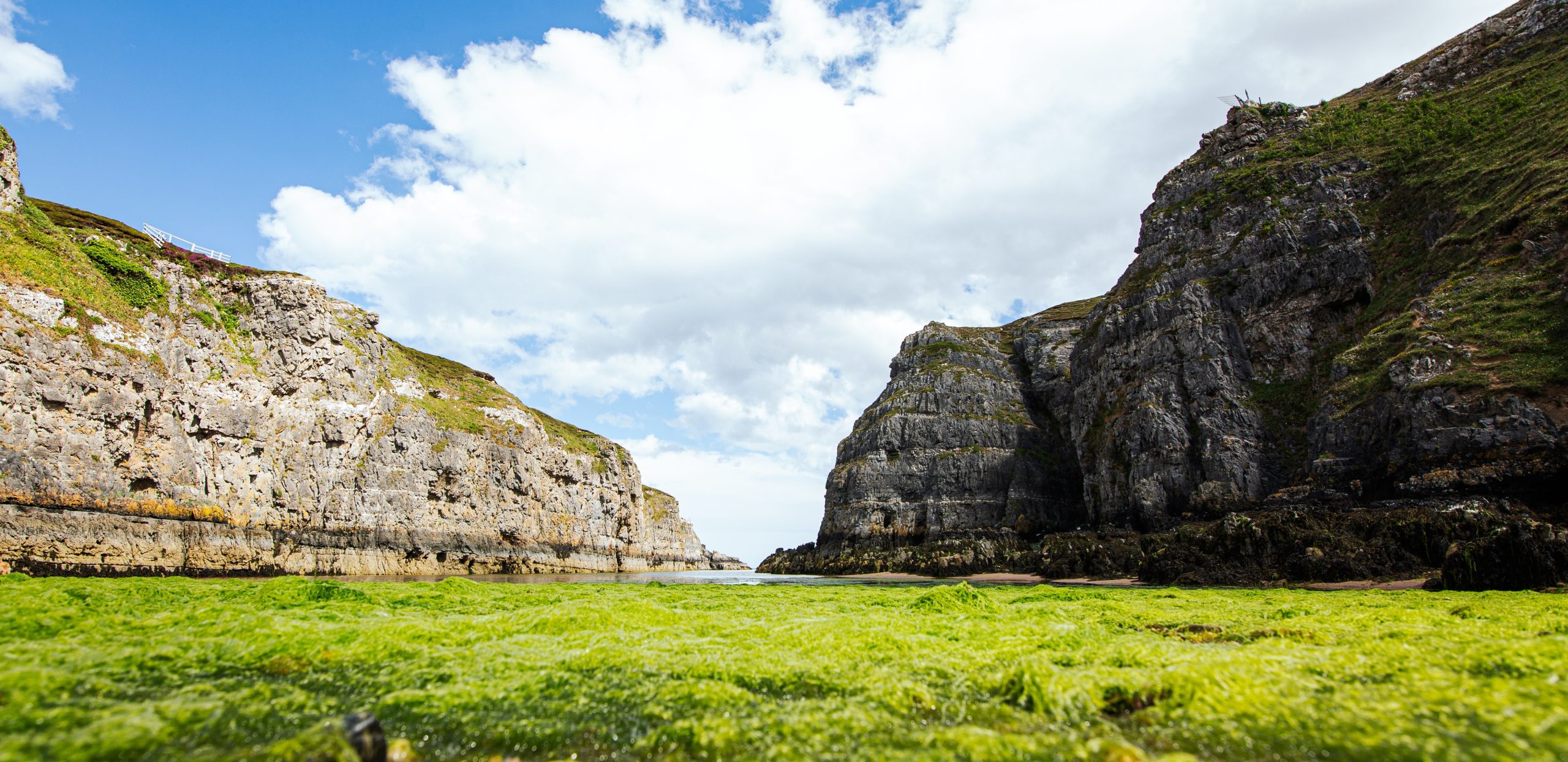 Edge of Beauty: Scotland’s Cliffs - ClickTravelTips